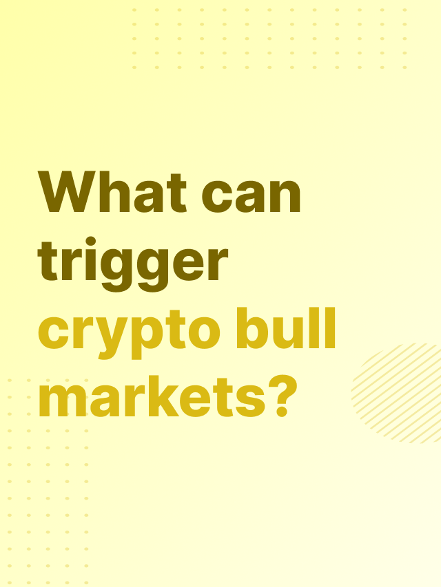 What Can Trigger Crypto Bull Markets Droomdroom