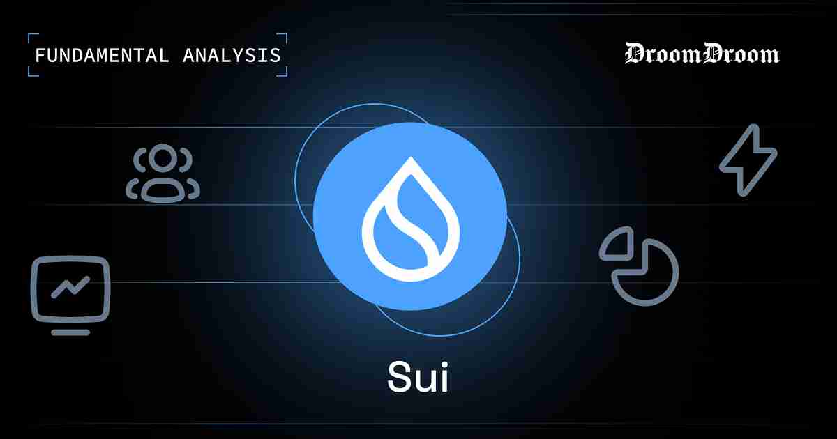 Fundamental Analysis of Sui