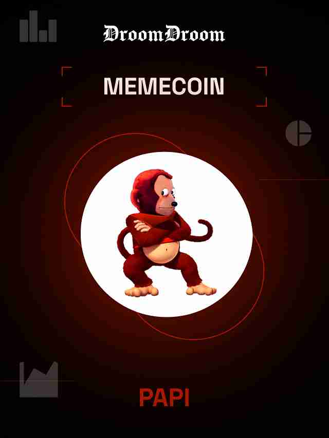 Papi Chulo - DroomDroom