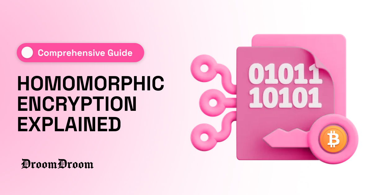 How Homomorphic Encryption Is Shaping the Future of Privacy (And Why ...