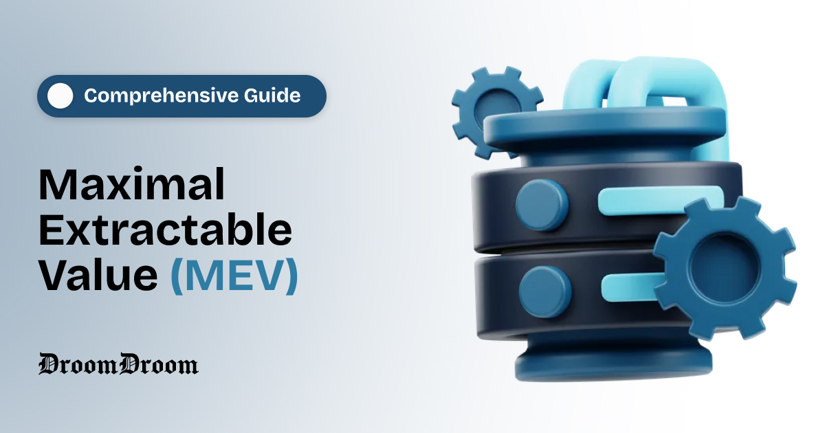 Maximal Extractable Value Comprehensive Guide For Beginners