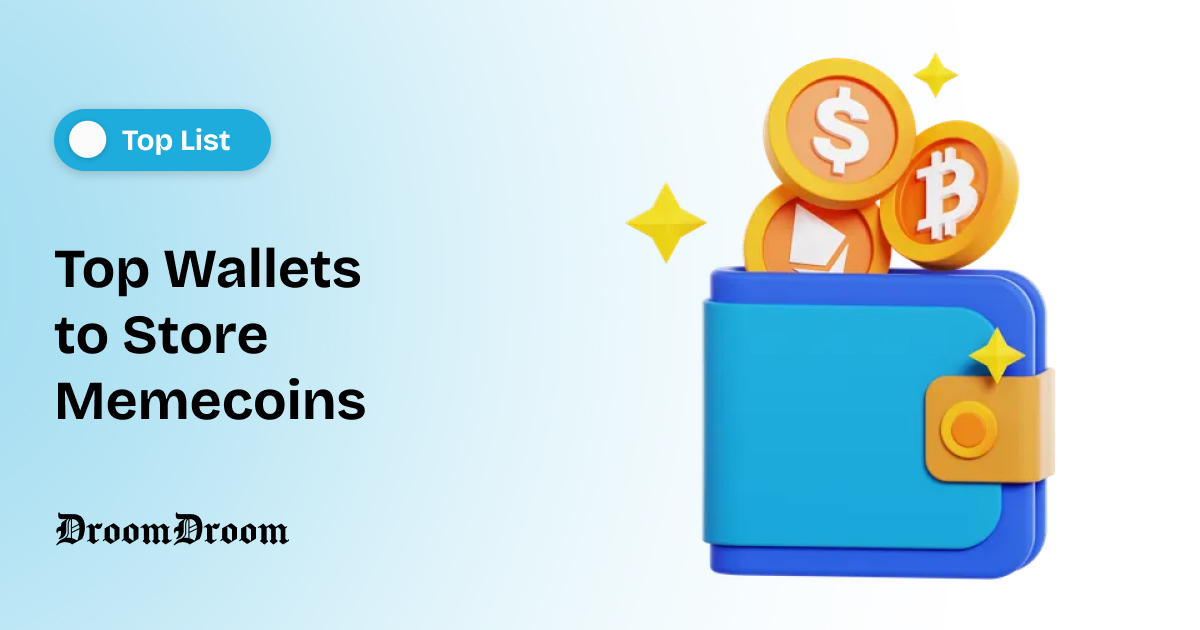 Top Wallets to Store Memecoins