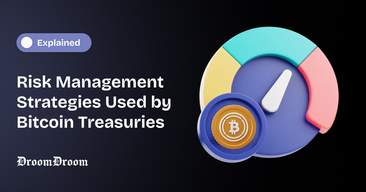 Risk Management Strategies Used by Bitcoin Treasuries